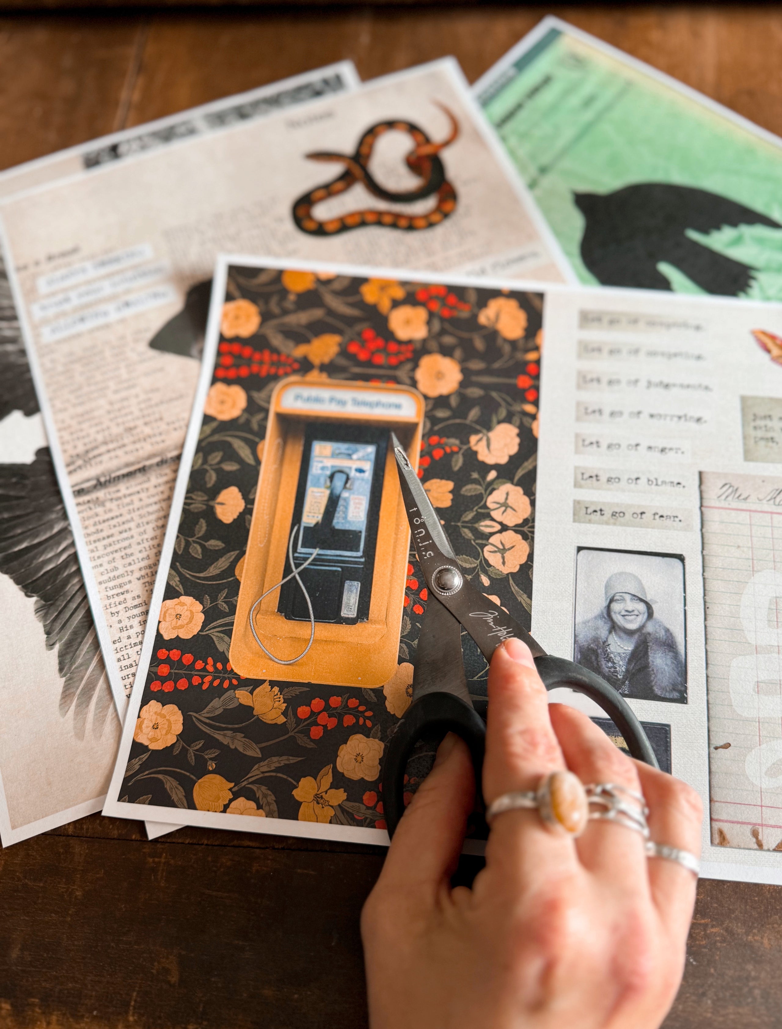 Wild Magic Collage Paper | Jesse Petersen Art